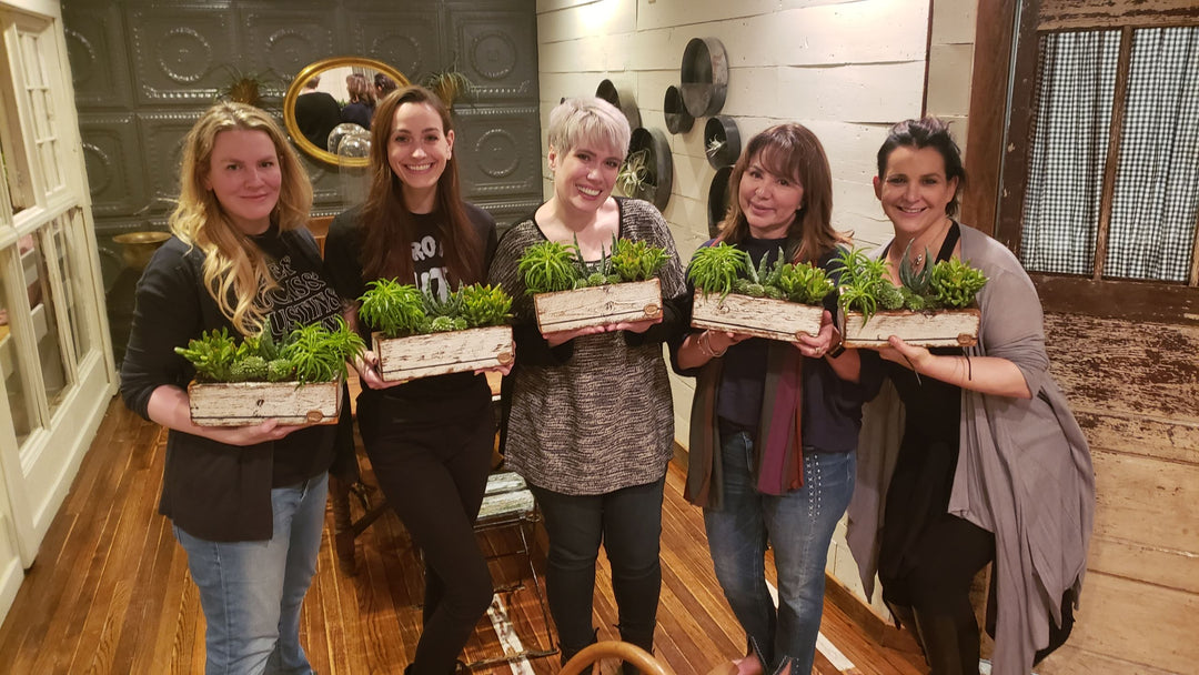 Succulents Potting & Arranging Class Mar 3rd 7-9pm – DIRT Flowers