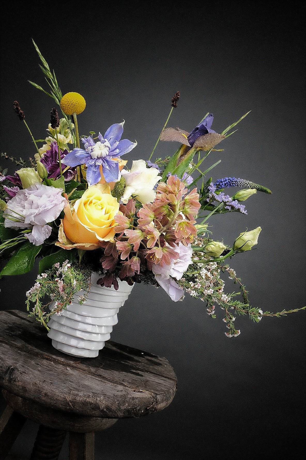 Little Miss Muffet – DIRT Flowers