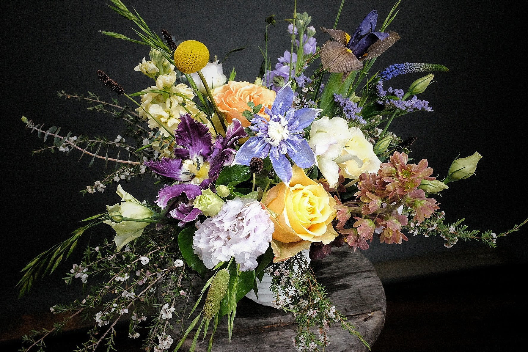 Little Miss Muffet – DIRT Flowers