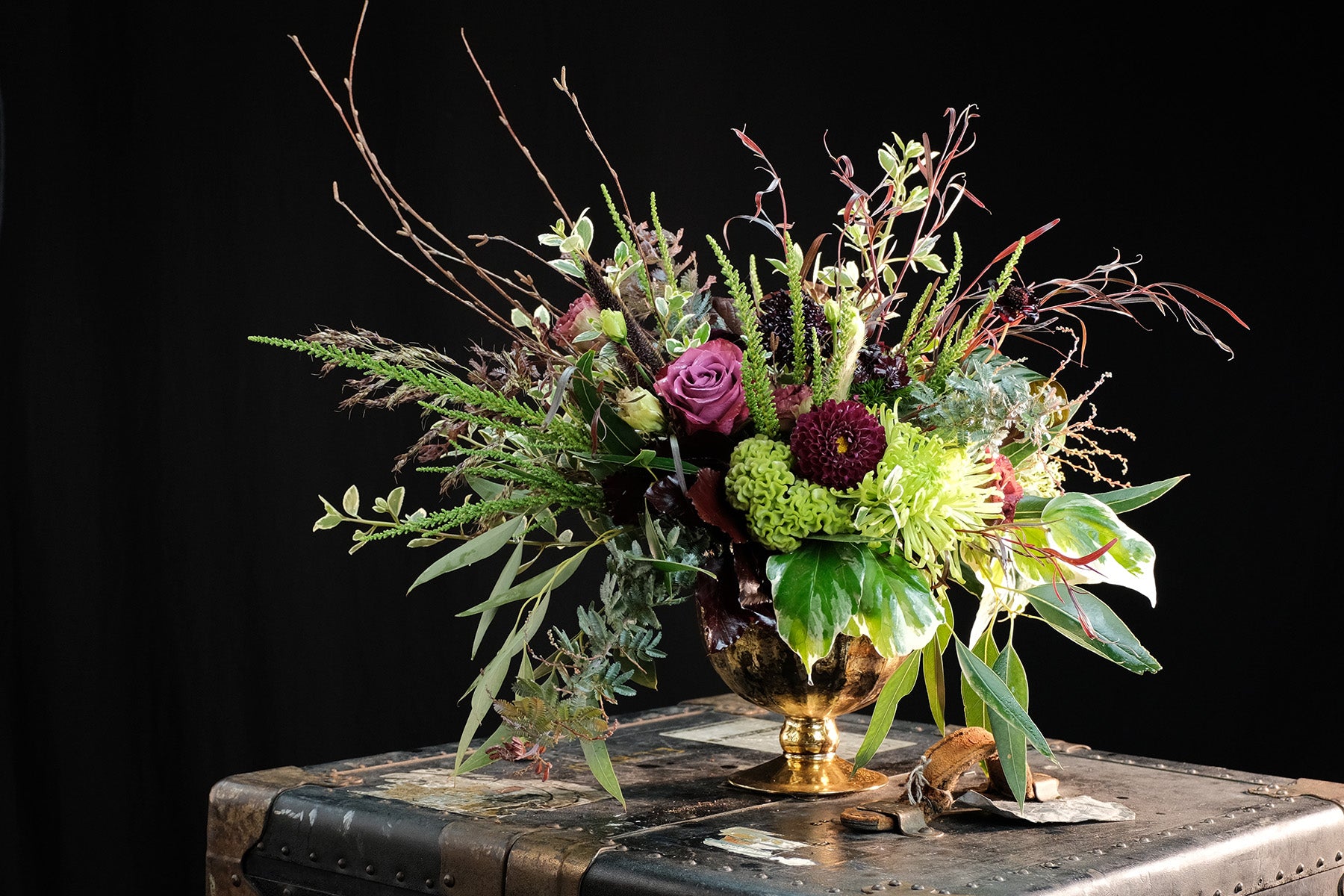 Witch Hazel Petite – DIRT Flowers