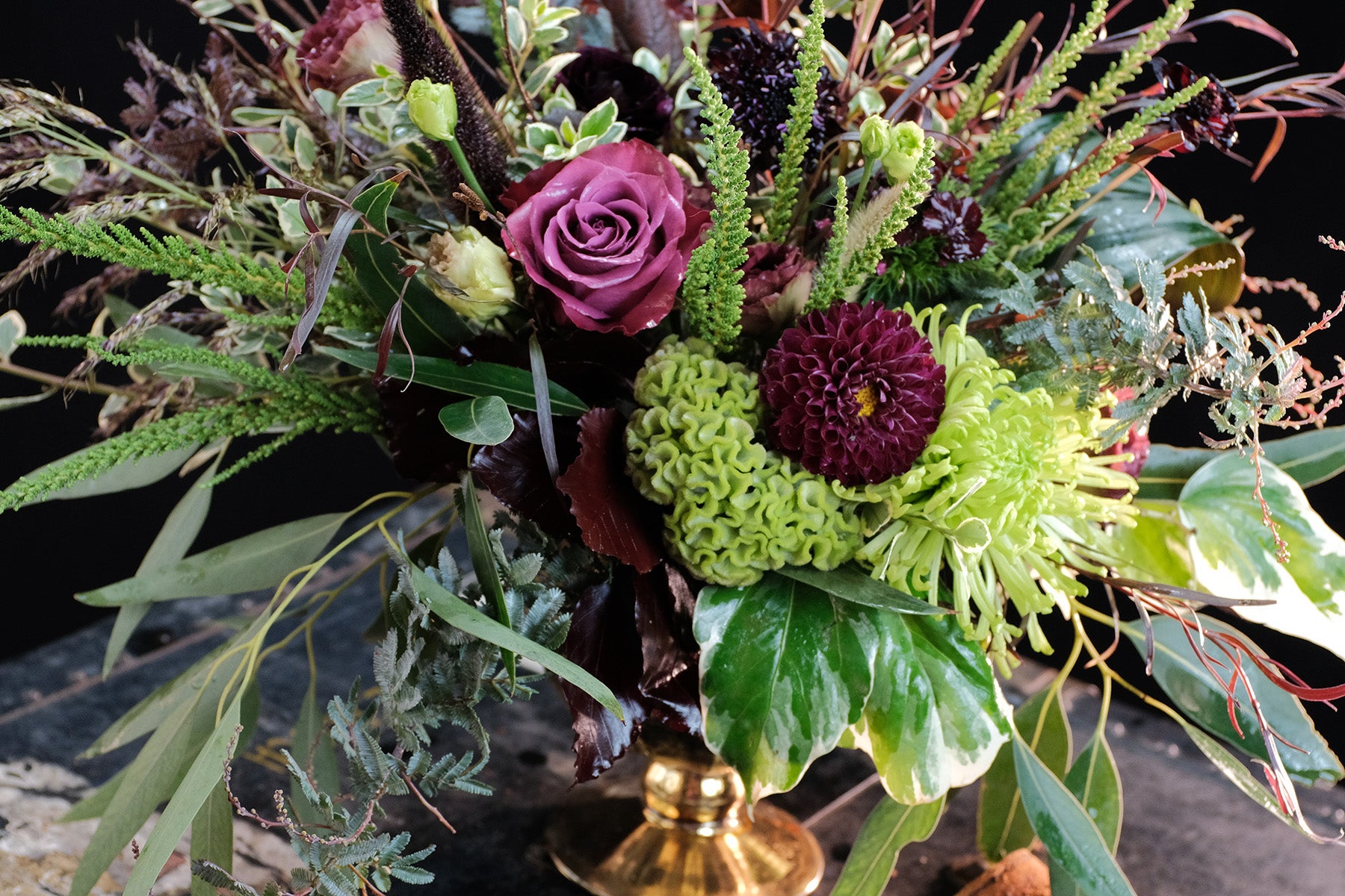 Witch Hazel Petite – DIRT Flowers