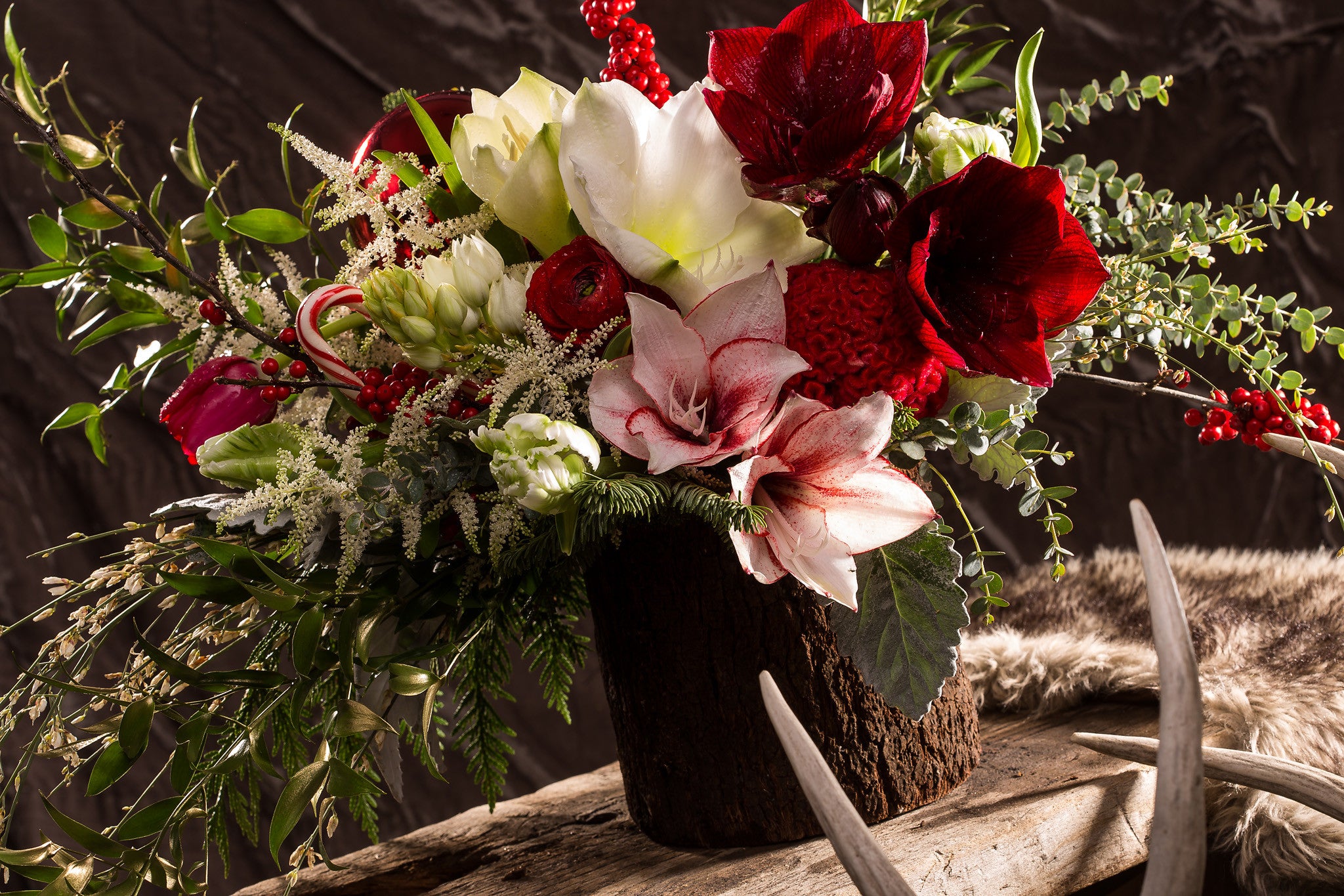 Peppermint Bark – DIRT Flowers