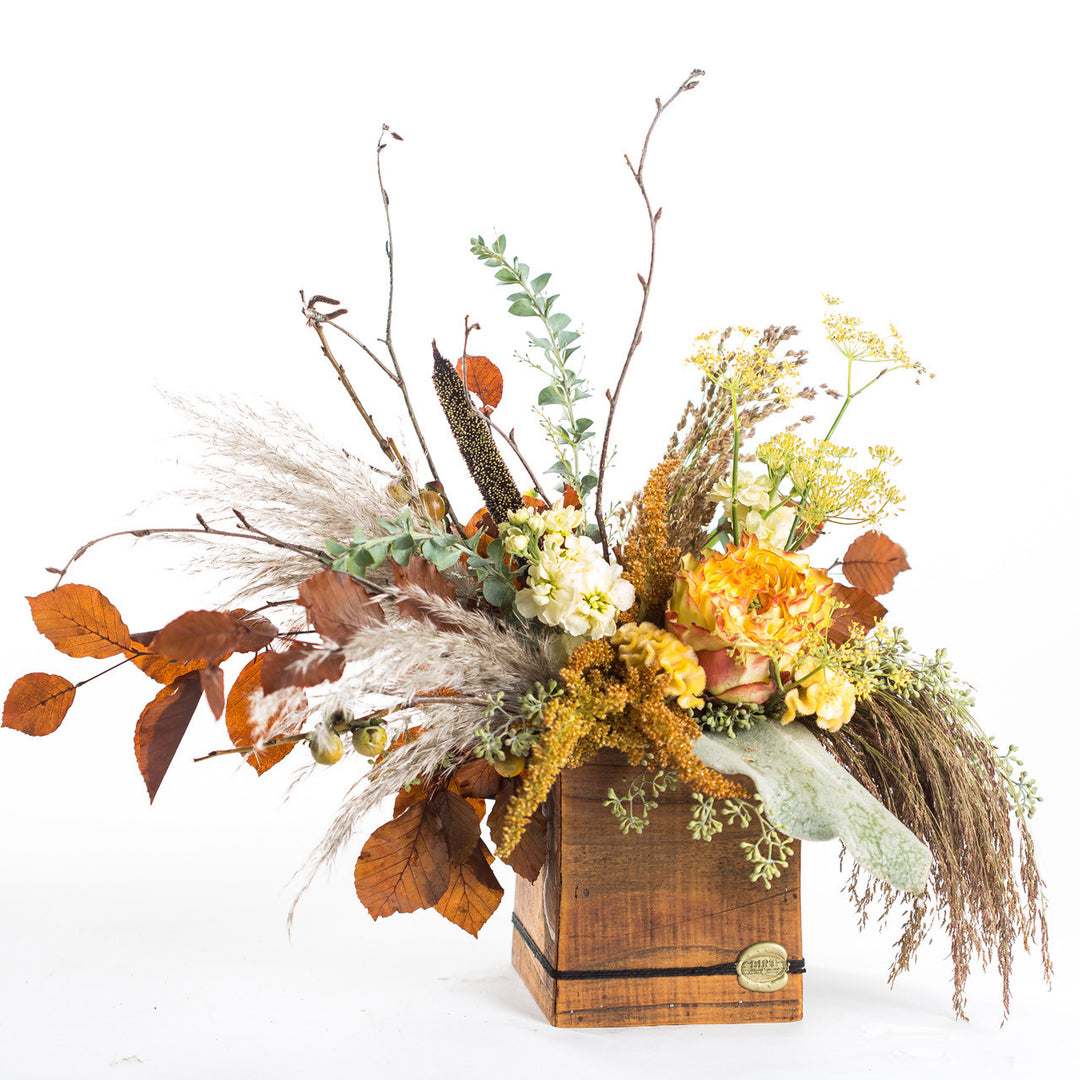 Peter Cottontail – DIRT Flowers