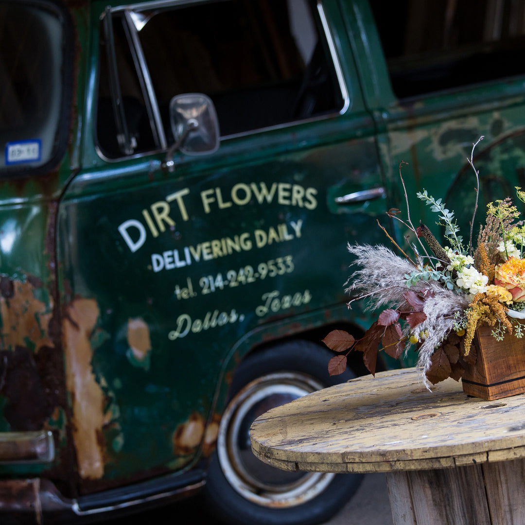 Peter Cottontail – DIRT Flowers