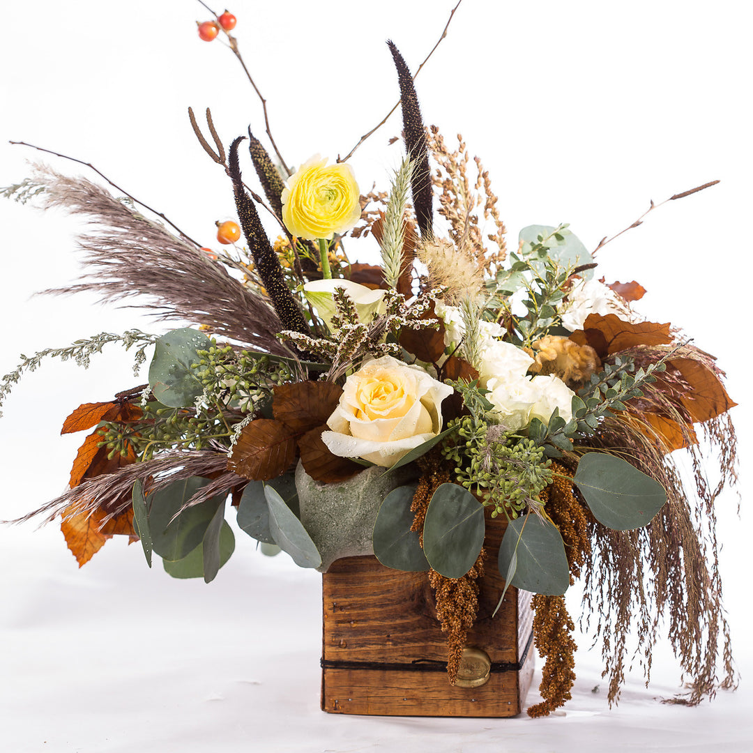 Peter Cottontail – DIRT Flowers