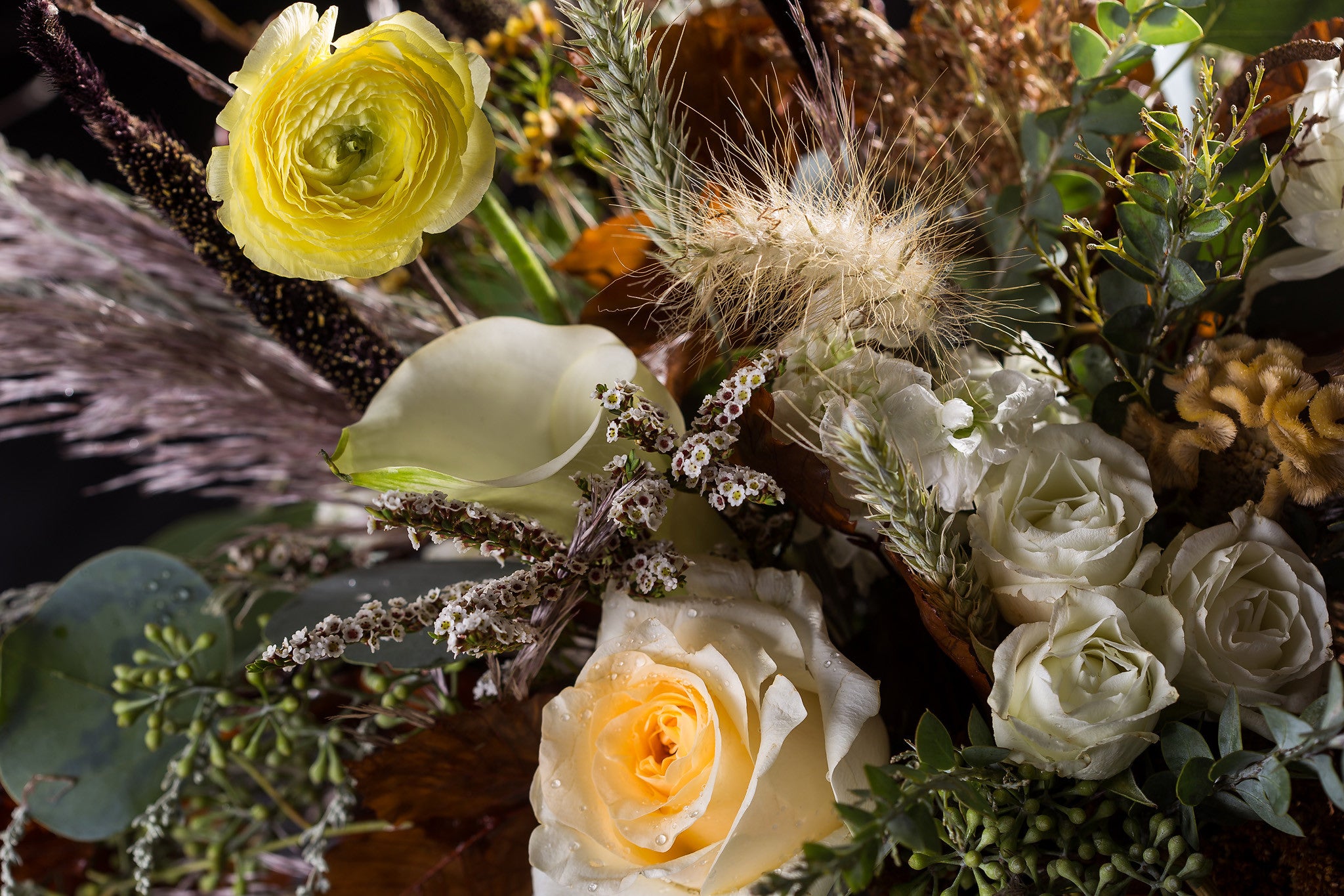 Windsong – DIRT Flowers