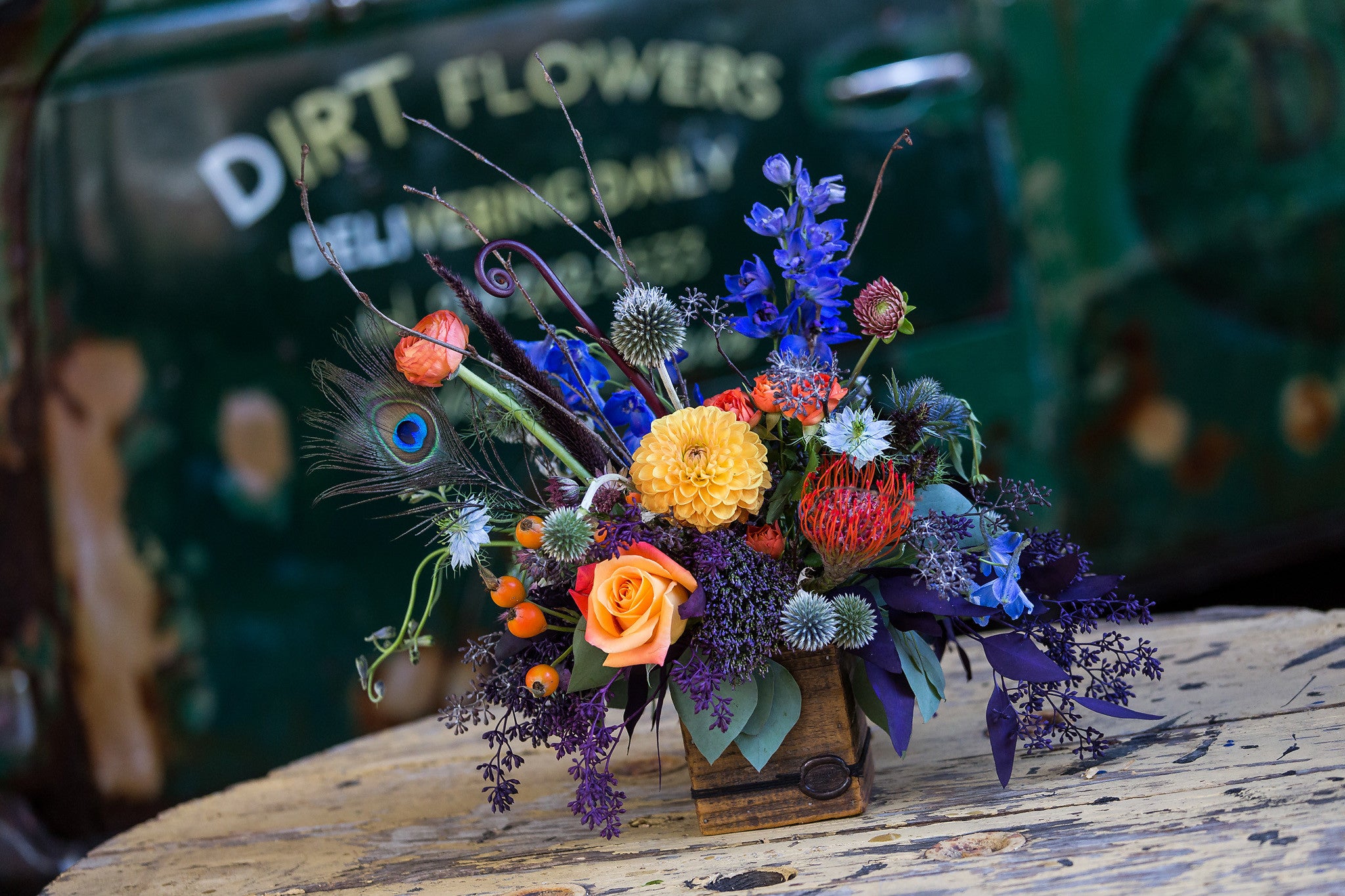 Harvest Moon – DIRT Flowers